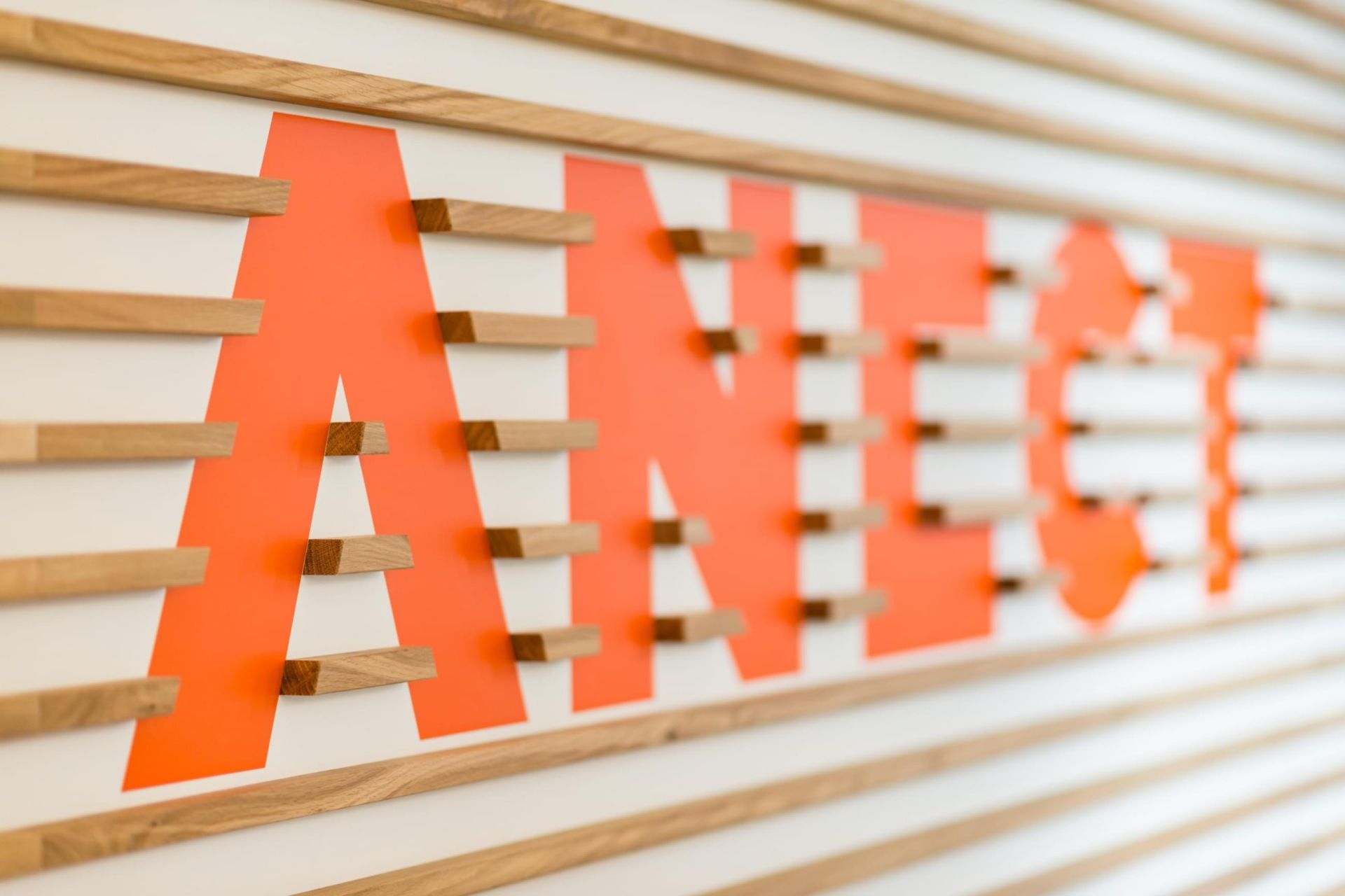 Case study ANECT - budování značky | Epic PR